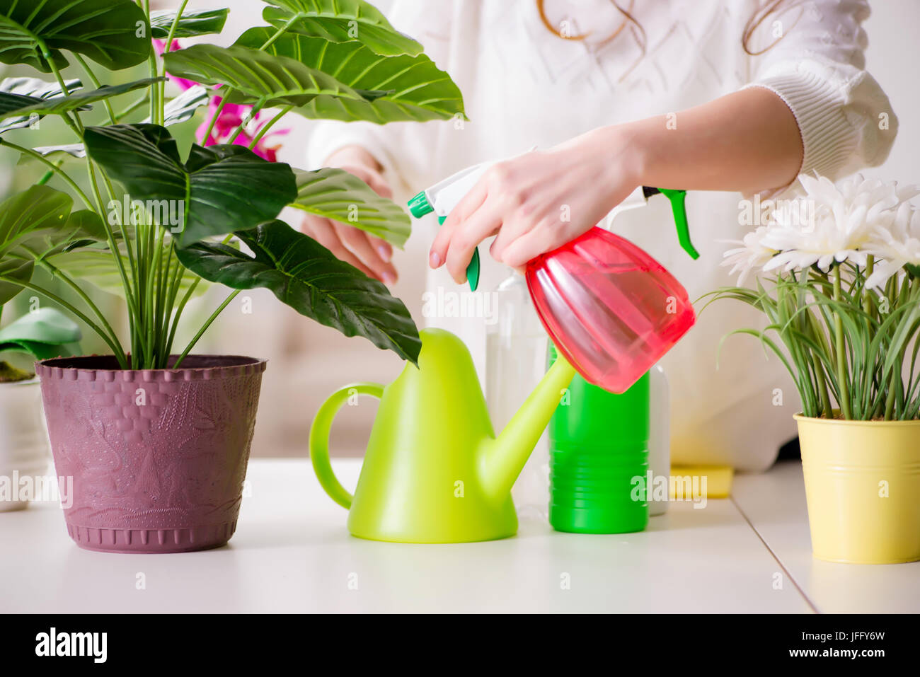 Young woman looking after plants at home Stock Photo - Alamy