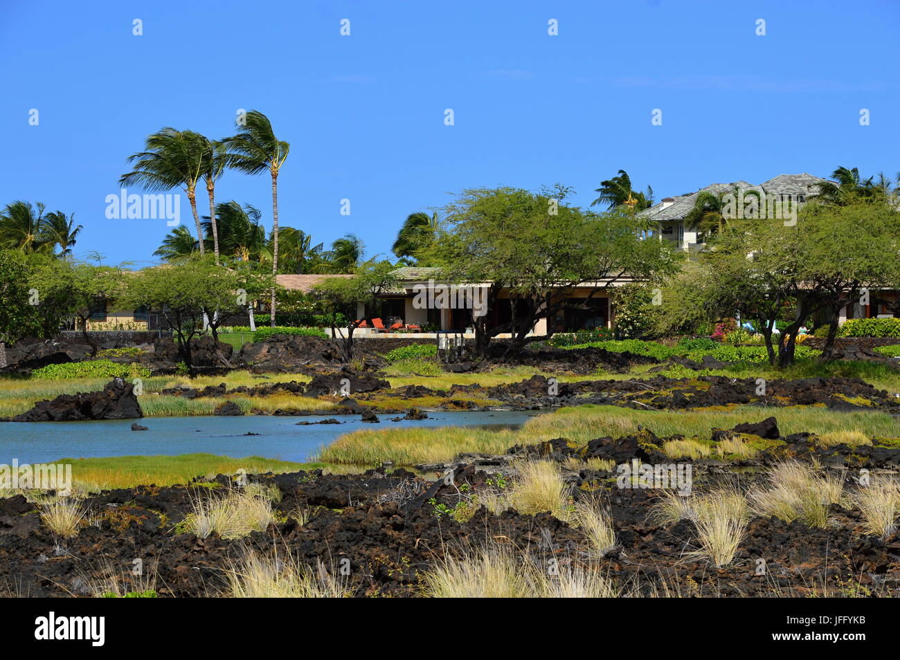Waikoloa beaches hi-res stock photography and images - Alamy