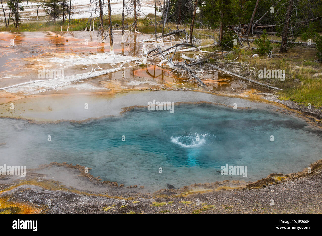 Firehole lake spring hi-res stock photography and images - Alamy