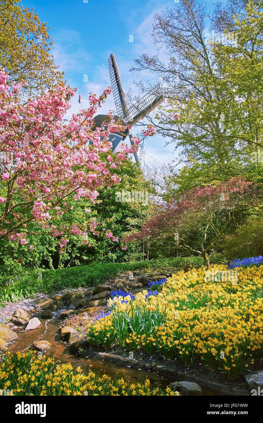 Spring in Netherlands Stock Photo - Alamy