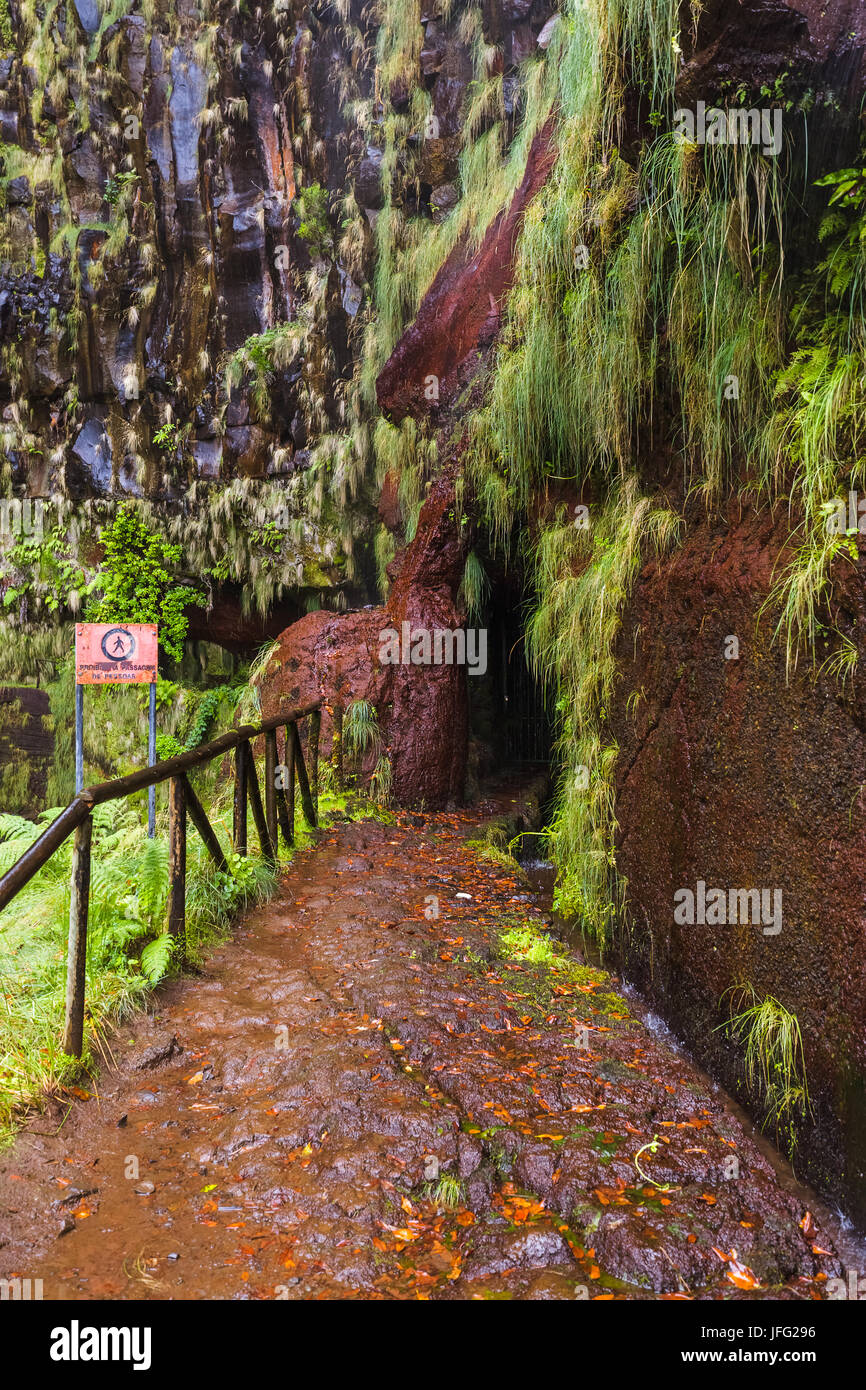 Levada do risco madeira hi-res stock photography and images - Alamy