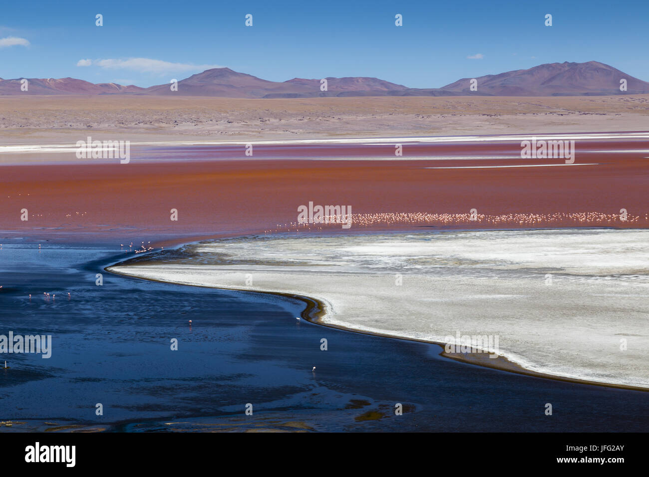 Laguna Colorada, Bolivia Stock Photo - Alamy