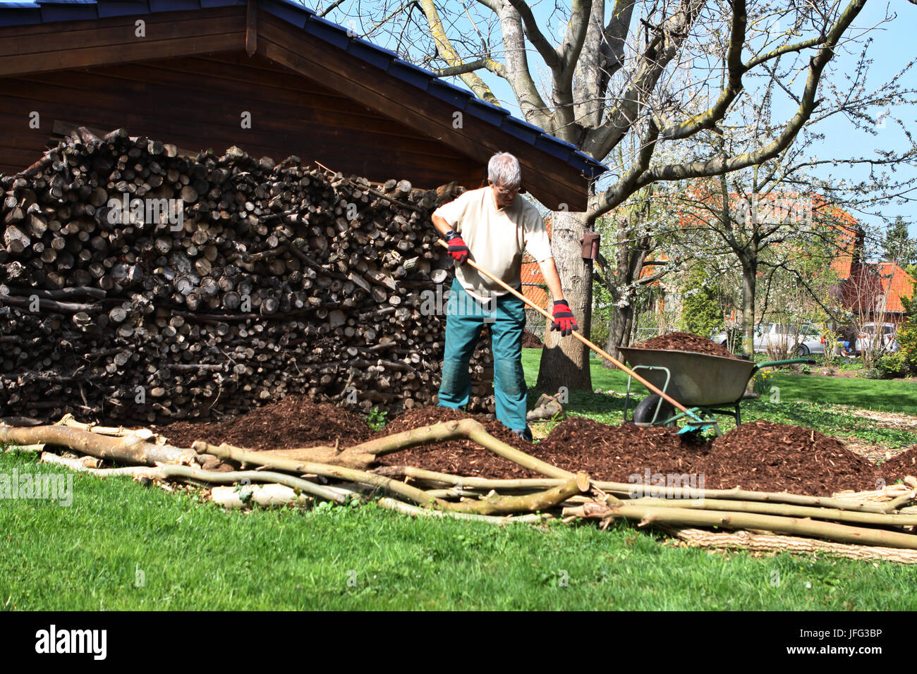 bark mulch tree pit under a walnut tree Stock Photo - Alamy