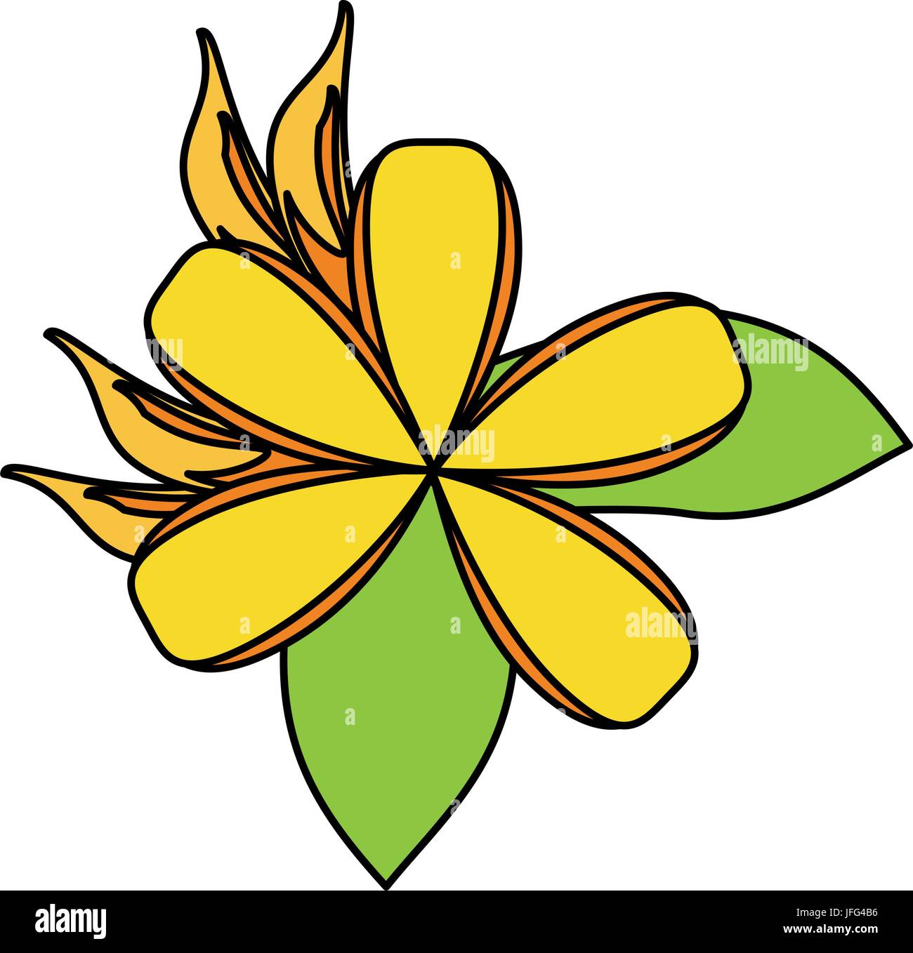 delicate flower icon image Stock Vector Image & Art - Alamy