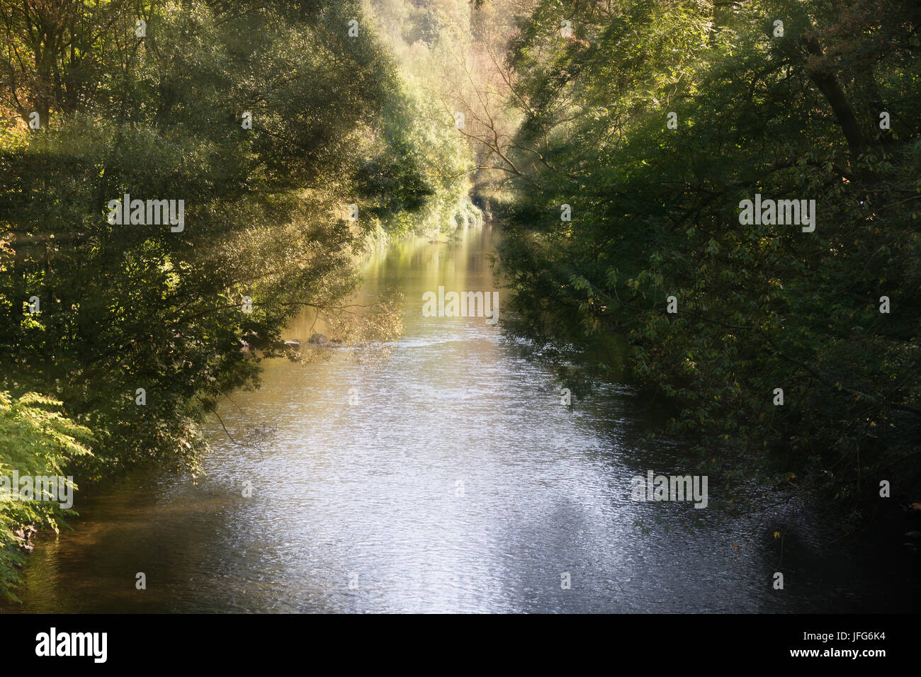 Wupper stausee hi-res stock photography and images - Alamy