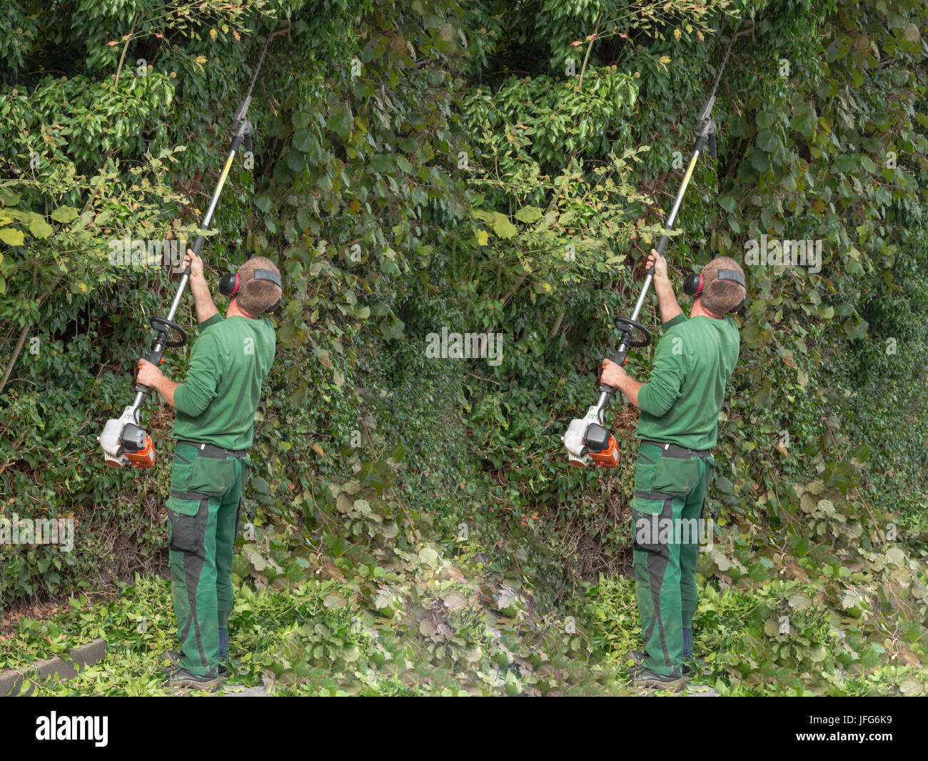 Hedge Cutting Topiary High Resolution Stock Photography and Images - Alamy
