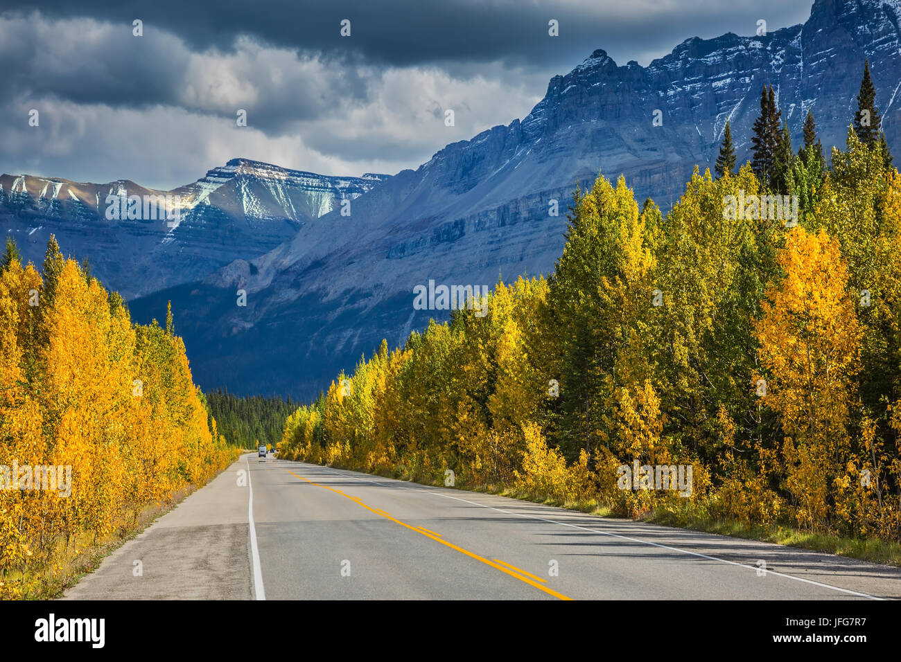 Aspen banff national park hi-res stock photography and images - Alamy