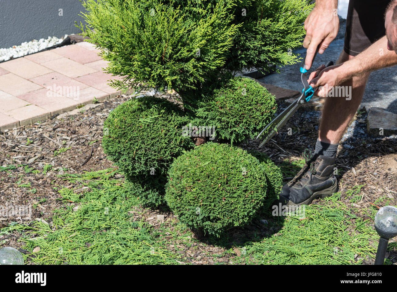 Boxwood front yard hi-res stock photography and images - Alamy