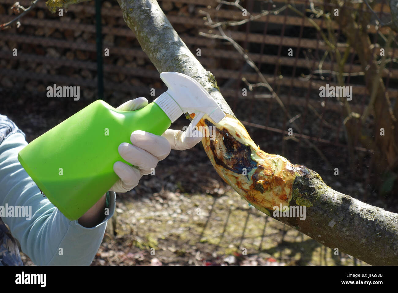 Fungizid, Chemical pestizide spraying Stock Photo - Alamy