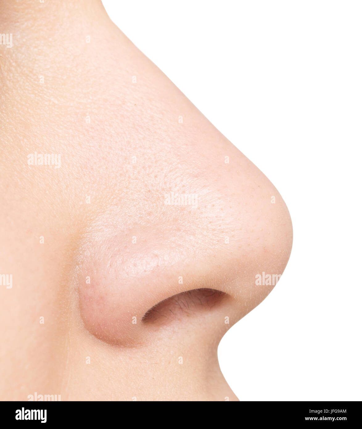 nose isolated on white Stock Photo - Alamy