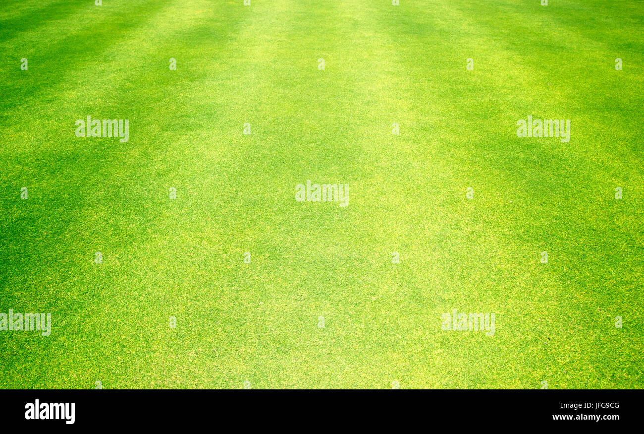 grass background Golf Courses green lawn pattern textured background ...