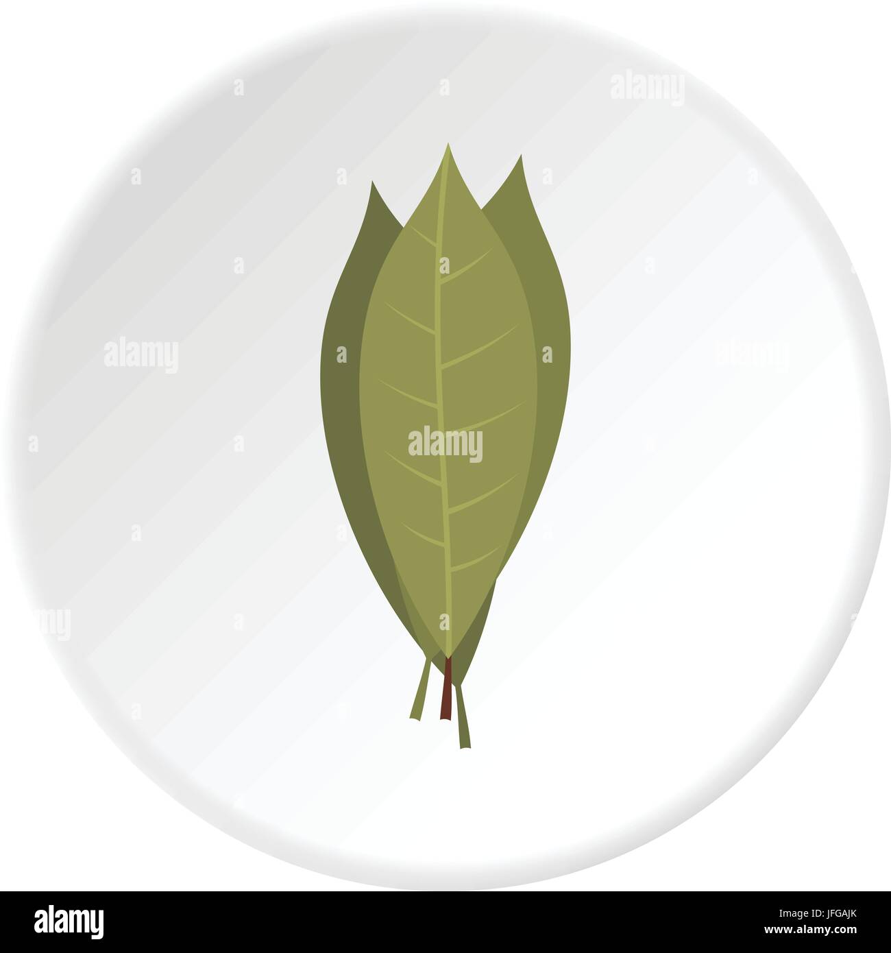 Bay laurel leaves icon circle Stock Vector Image & Art - Alamy