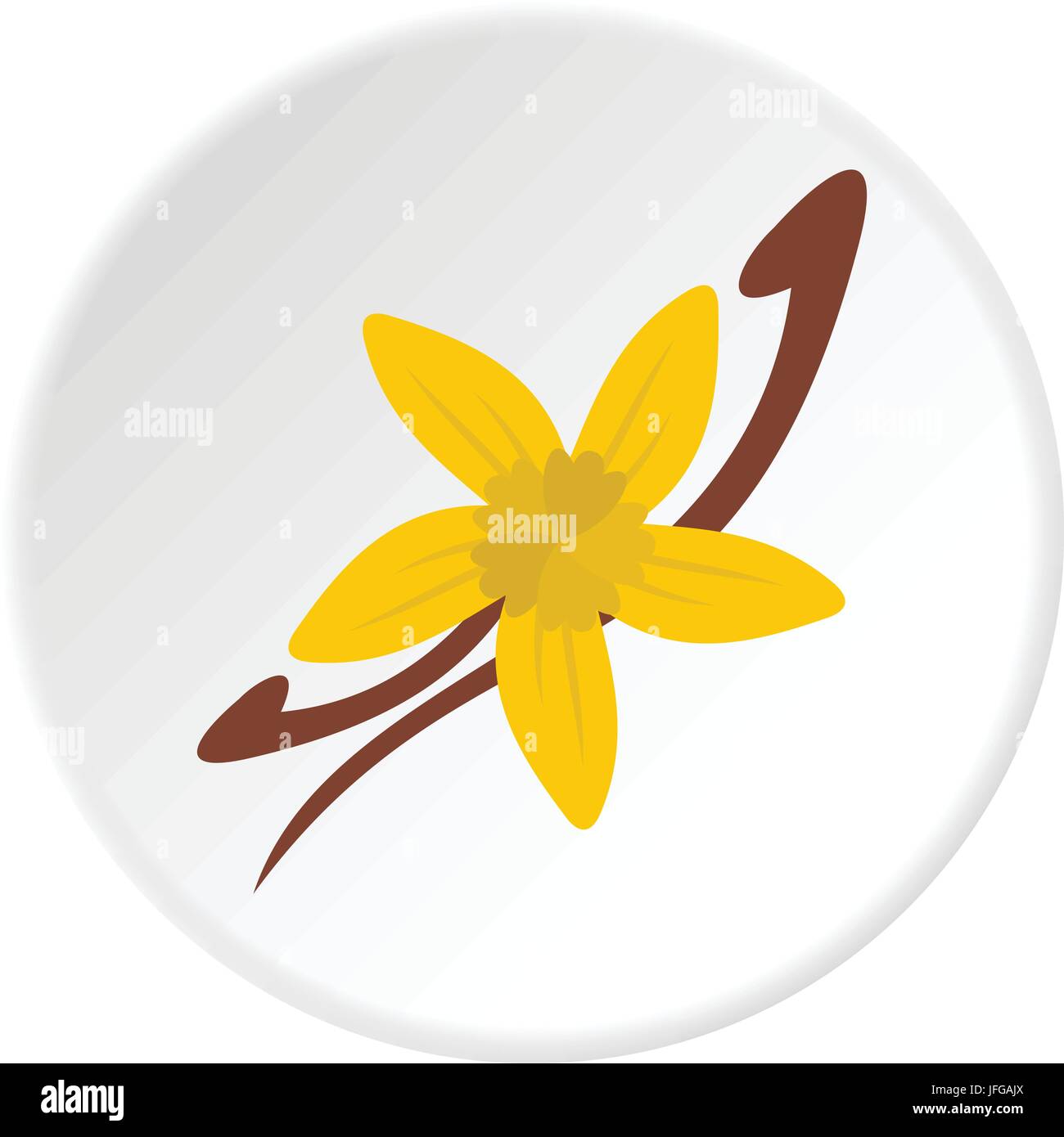 Vanilla pods and orchid flower Stock Vector Images - Alamy