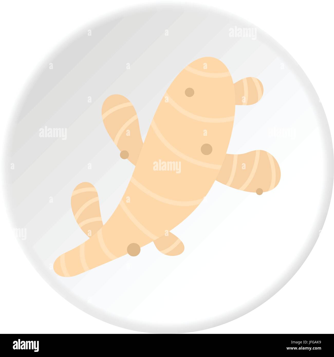 Ginger isolated white rhizome Stock Vector Images - Alamy