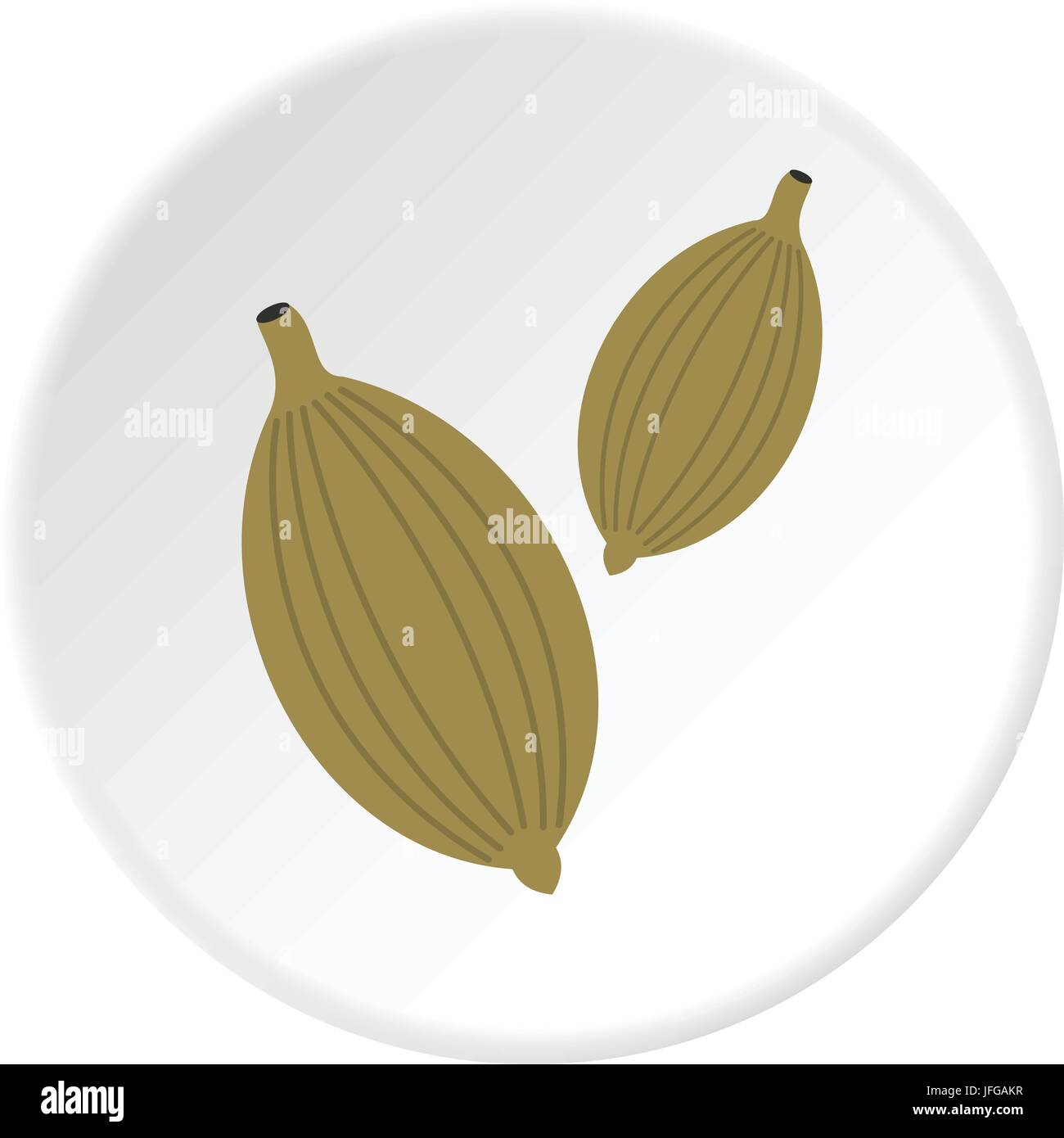 Green cardamom pods icon circle Stock Vector Image & Art - Alamy
