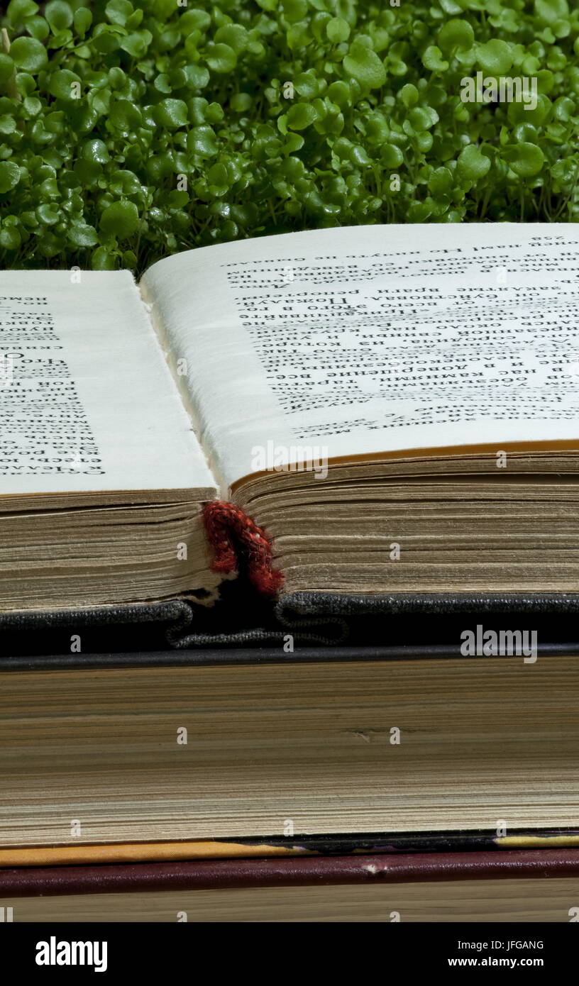 Knowledge books hi-res stock photography and images - Alamy