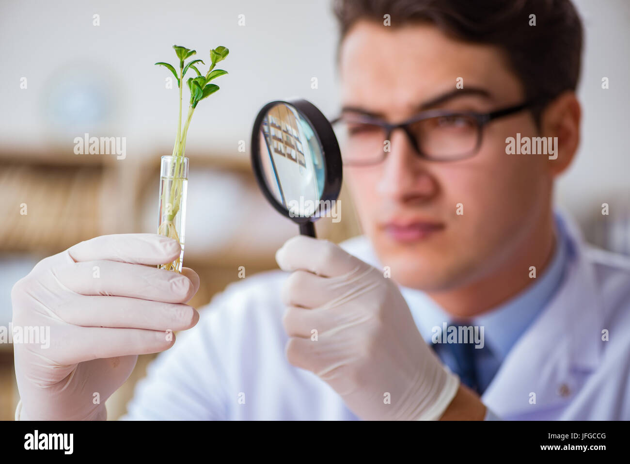 Biotechnology scientist working in the lab Stock Photo - Alamy