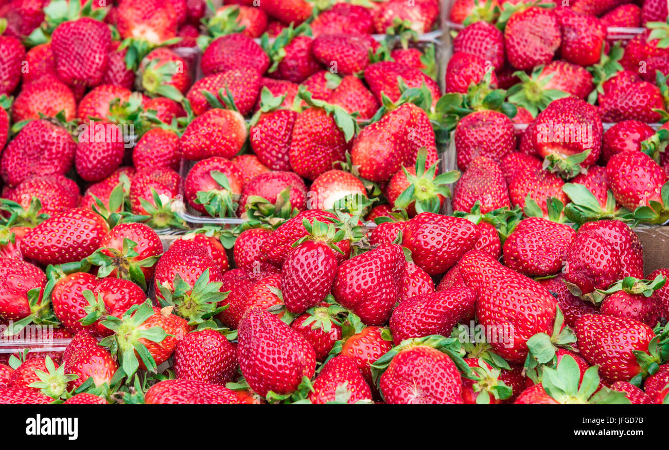 Strawberry red ripe Stock Photo - Alamy