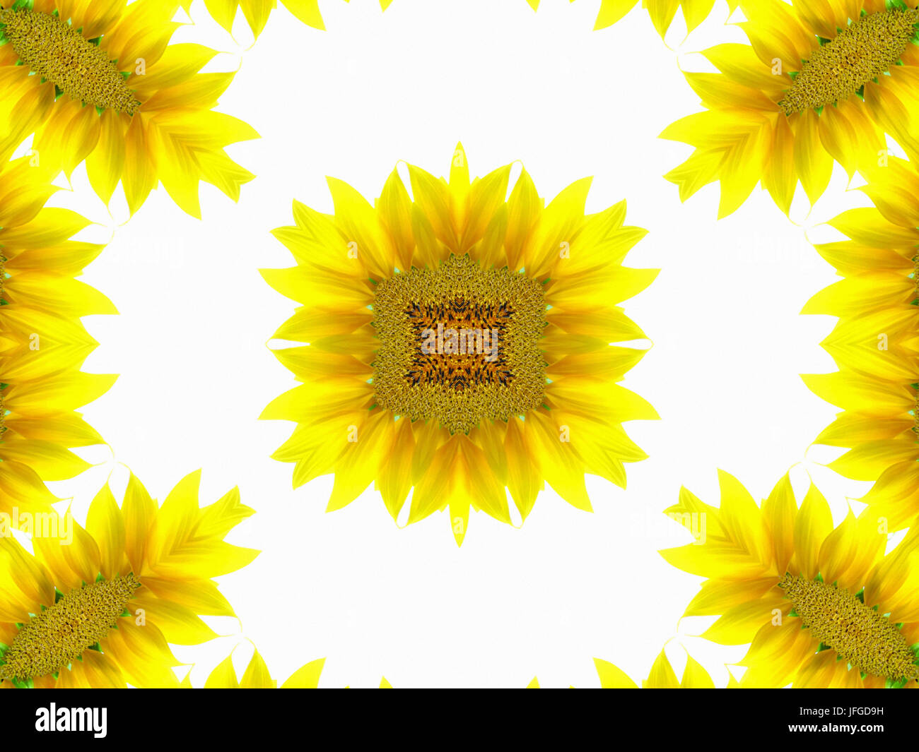 Sunflower pattern hi-res stock photography and images - Alamy