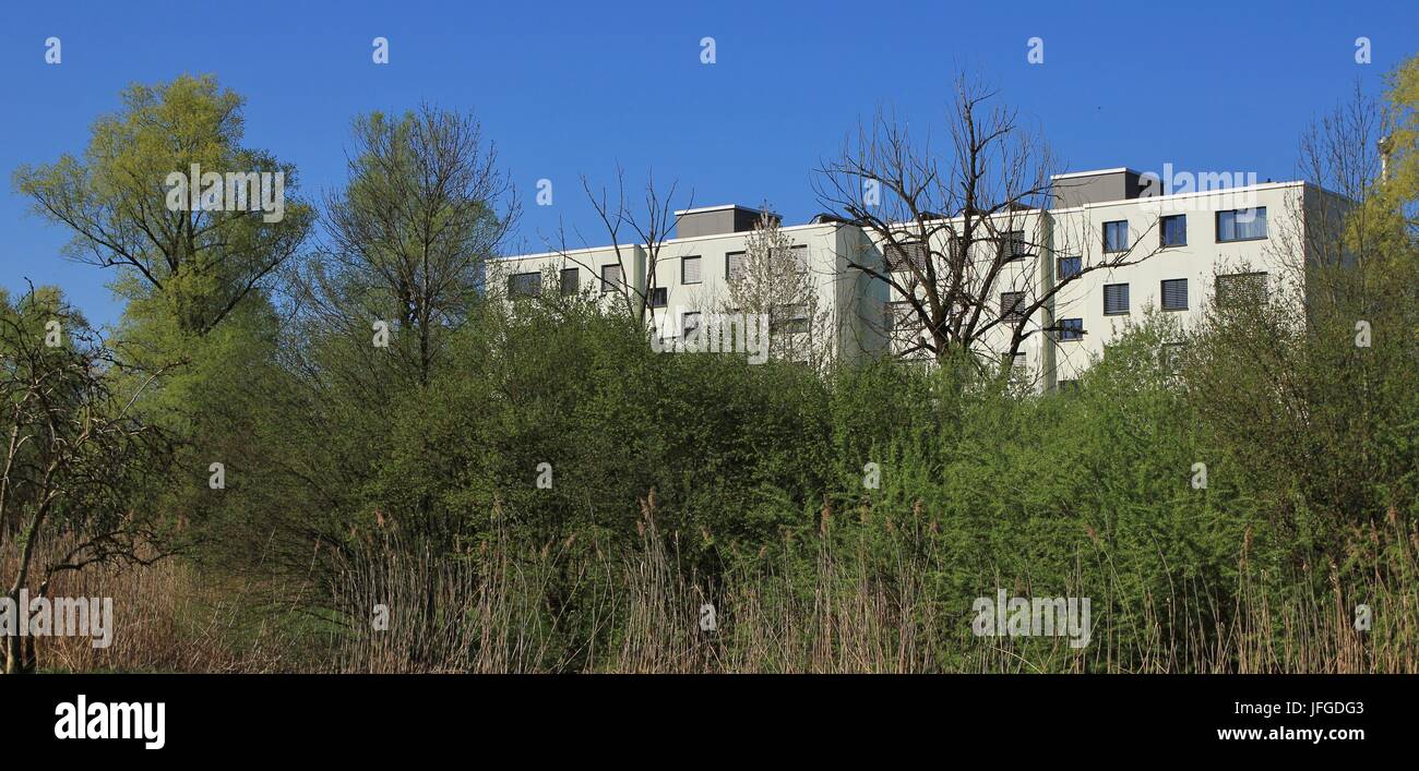 Nature versus architecture hi-res stock photography and images - Alamy