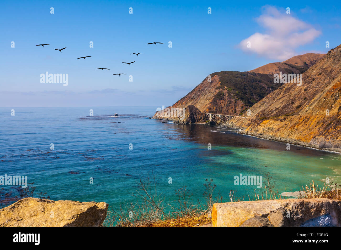Flock of cranes flying over the ocean Stock Photo - Alamy