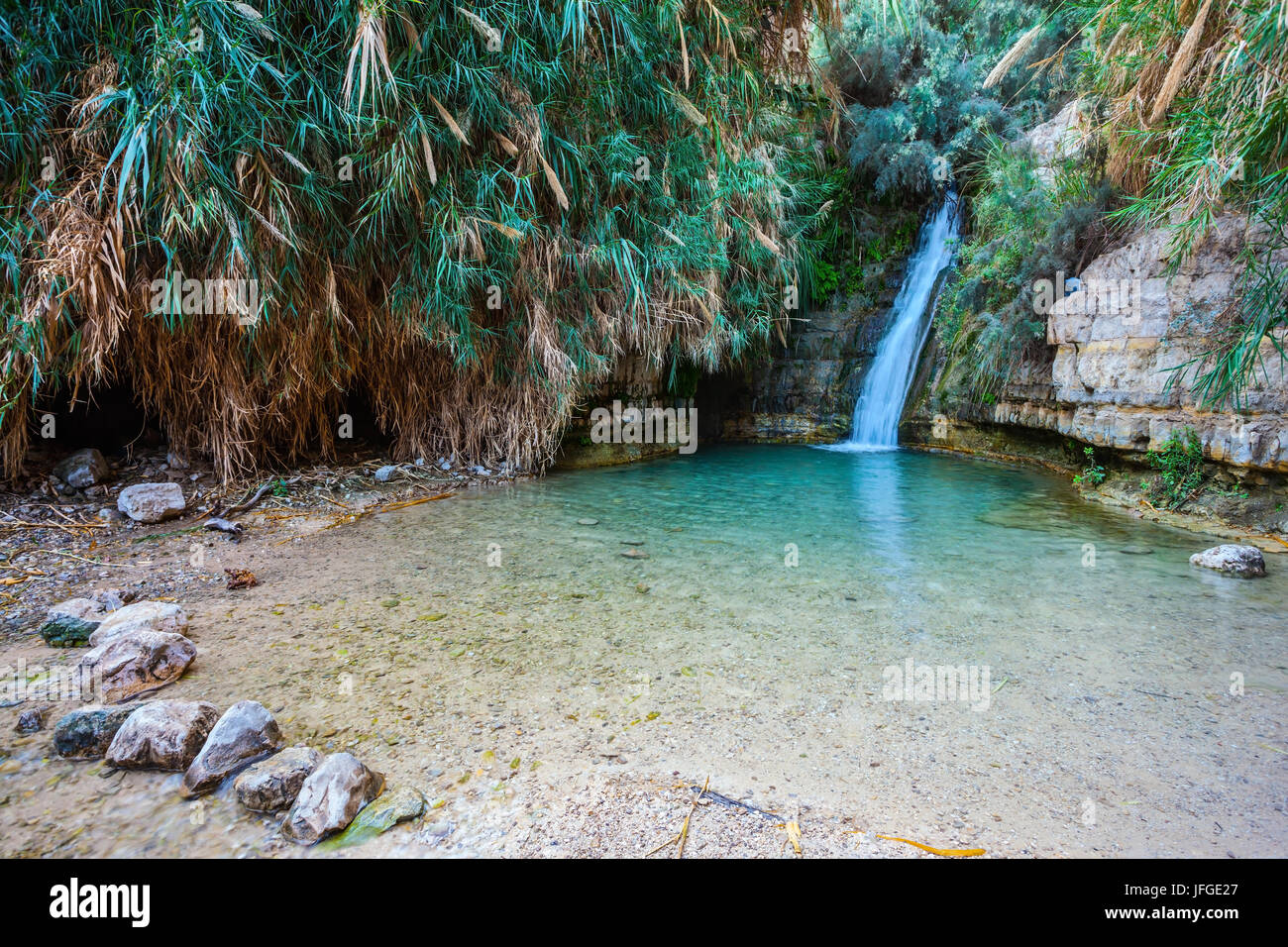 The national park Ein Gedi, Israel Stock Photo - Alamy