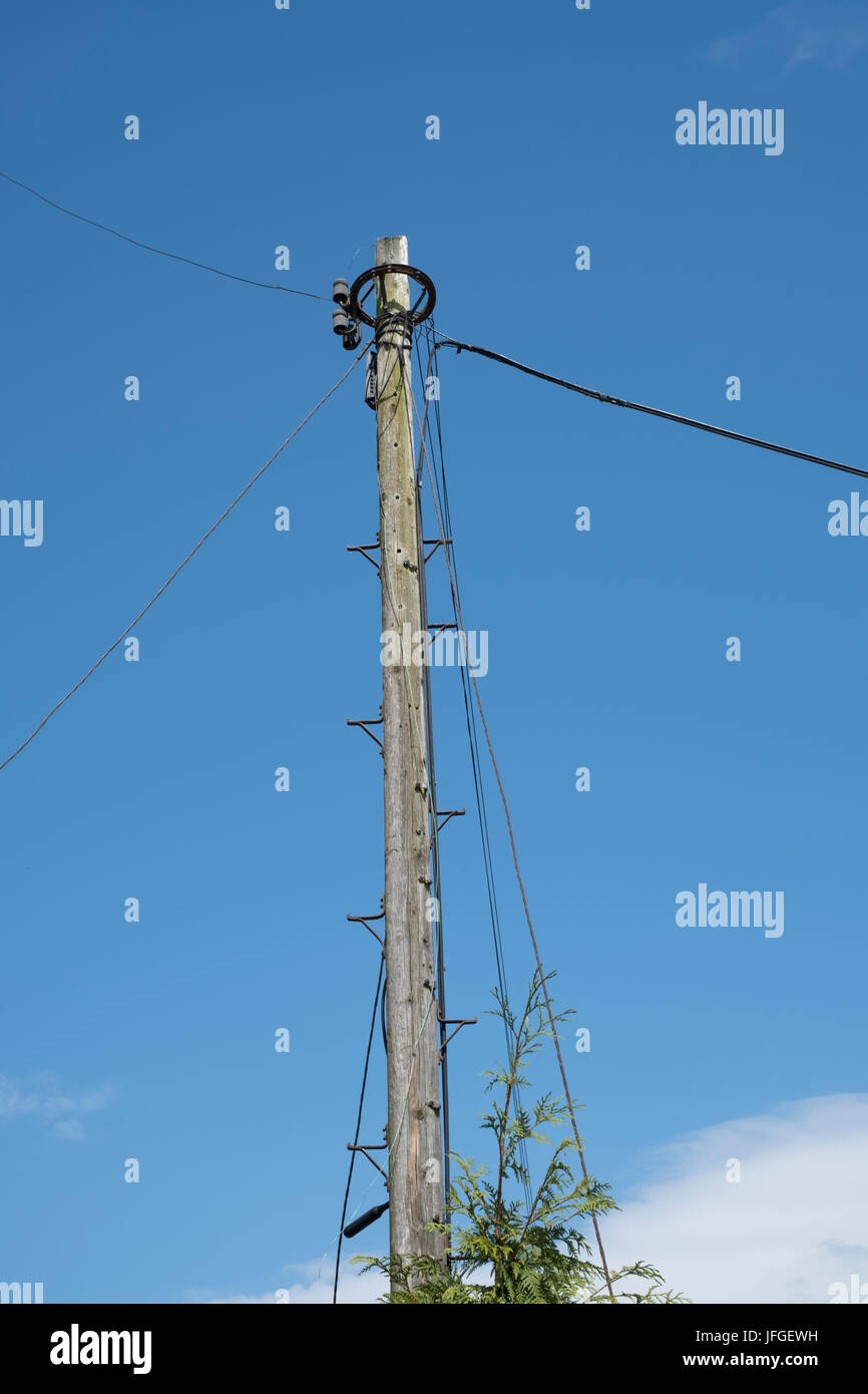 Telegraph pole and blue sky in Cheltenham Stock Photo - Alamy