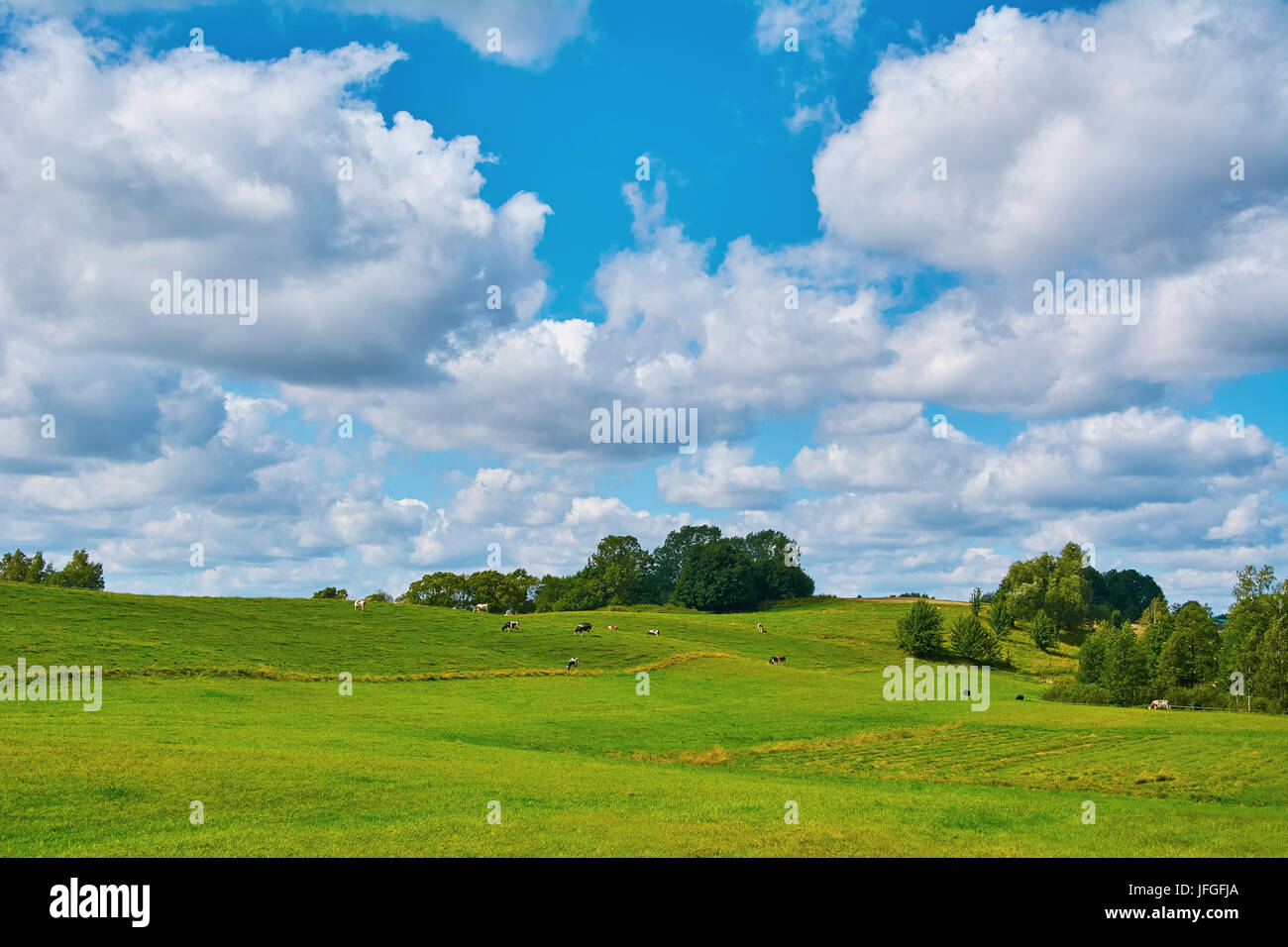 Arable and grazing pasture hi-res stock photography and images - Alamy