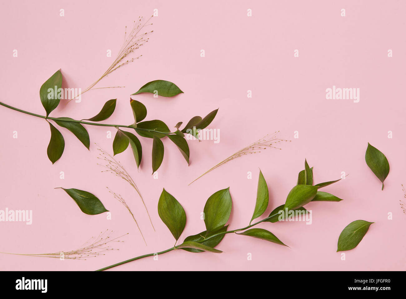 Lush twigs hi-res stock photography and images - Alamy