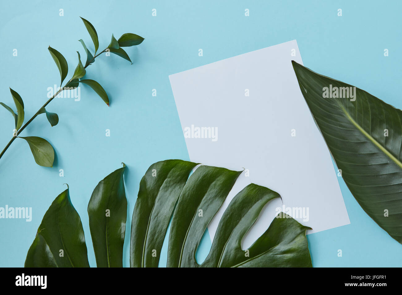 Blank copy space Stock Photo - Alamy