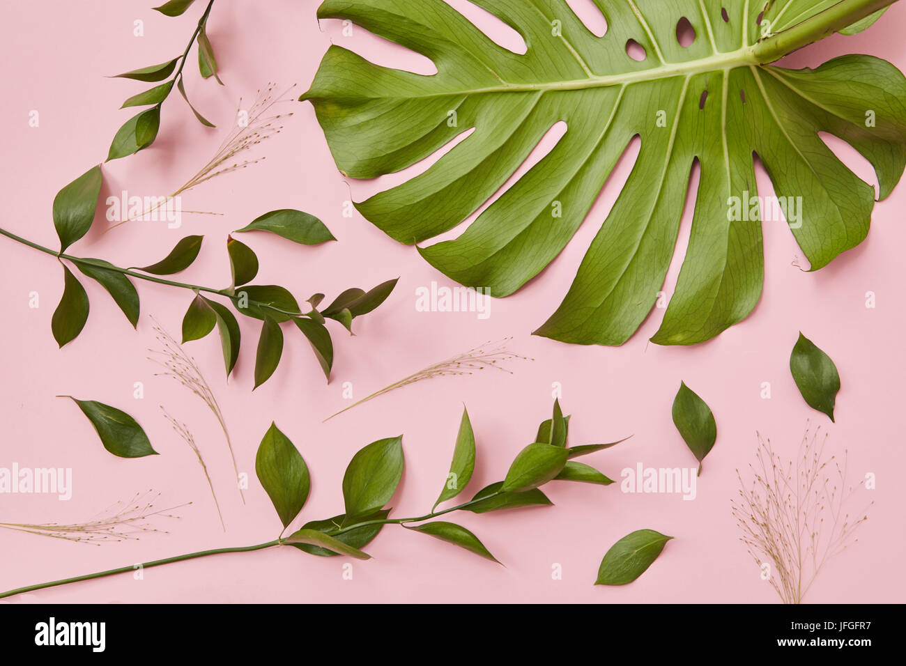 Delicate twigs hi-res stock photography and images - Alamy