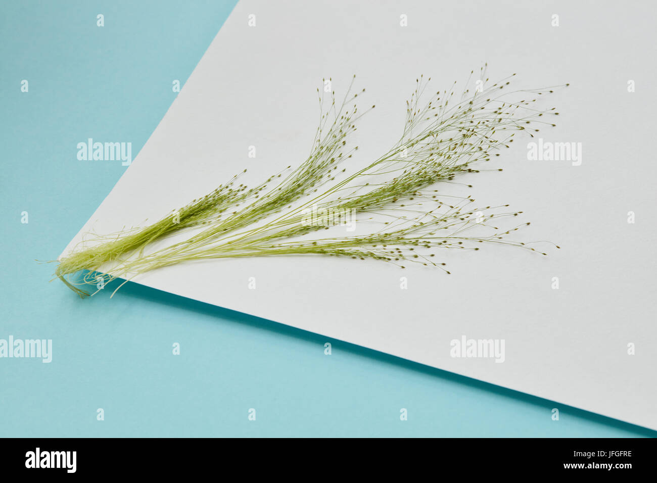 Blank copy space Stock Photo - Alamy