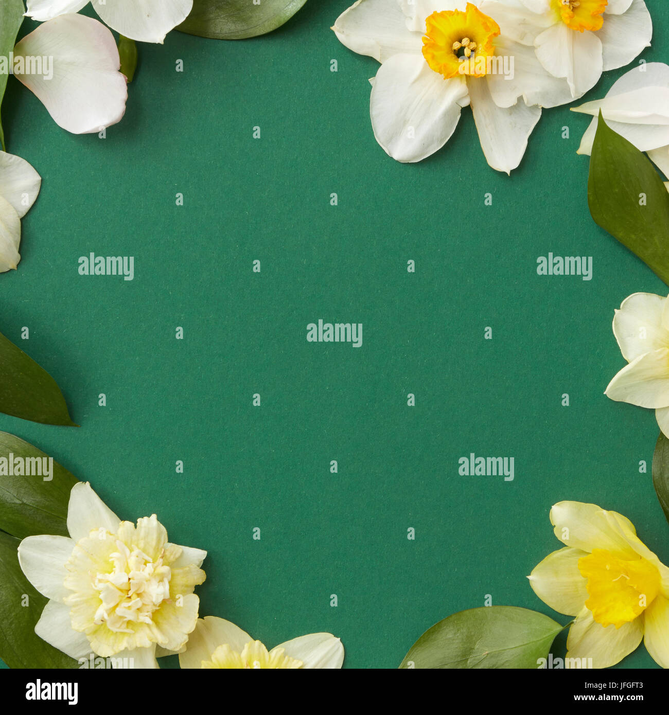 Floral frame with flowers Stock Photo - Alamy