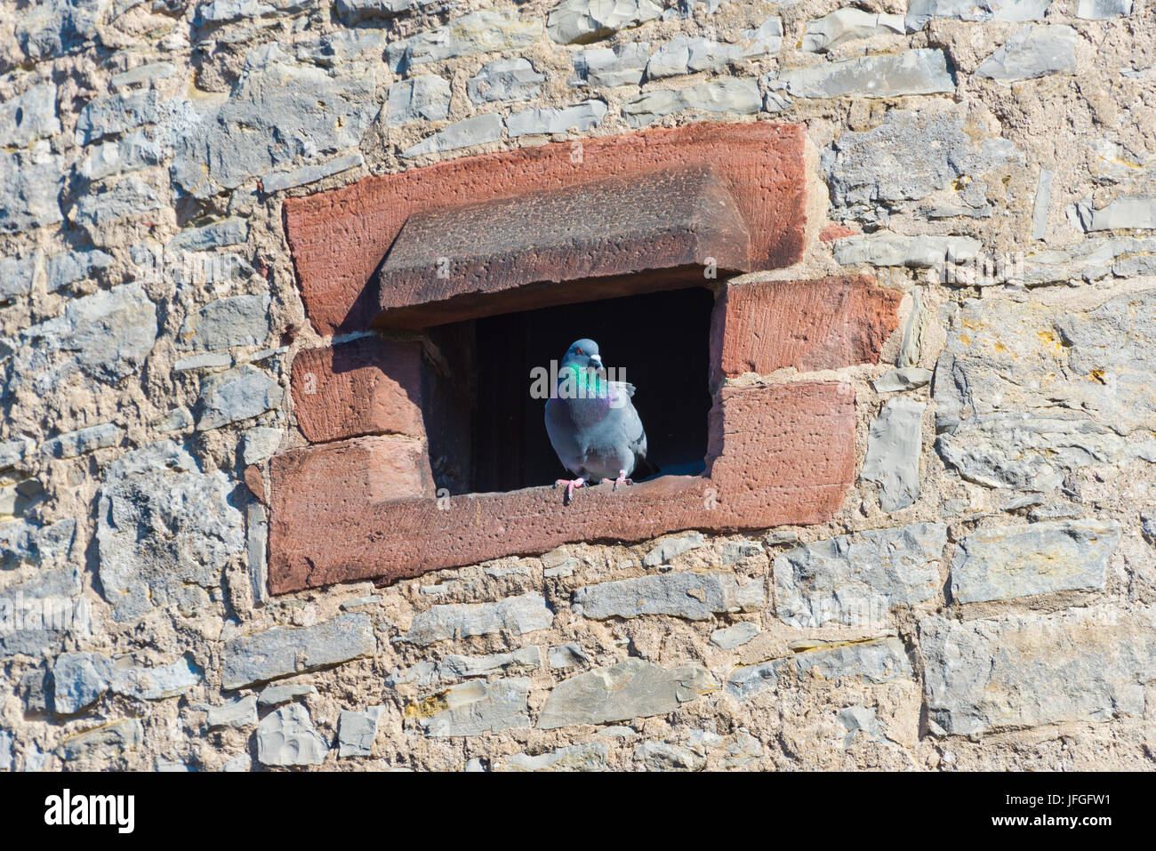 Old pigeon tower hi-res stock photography and images - Alamy