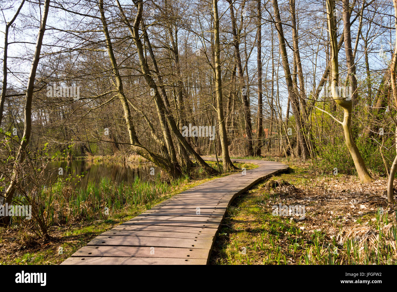 Forest path scenery hi-res stock photography and images - Alamy