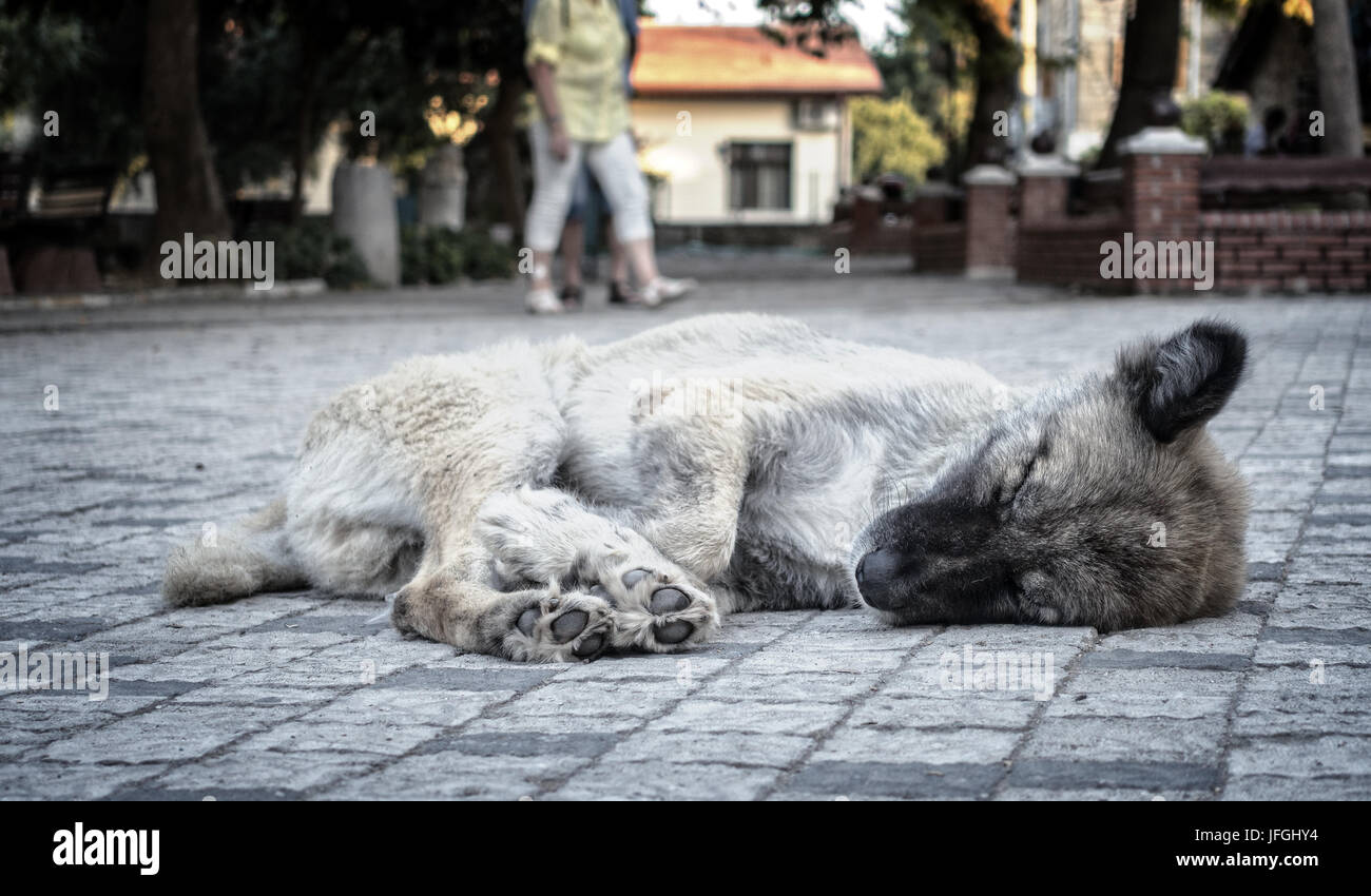 have a break Stock Photo - Alamy