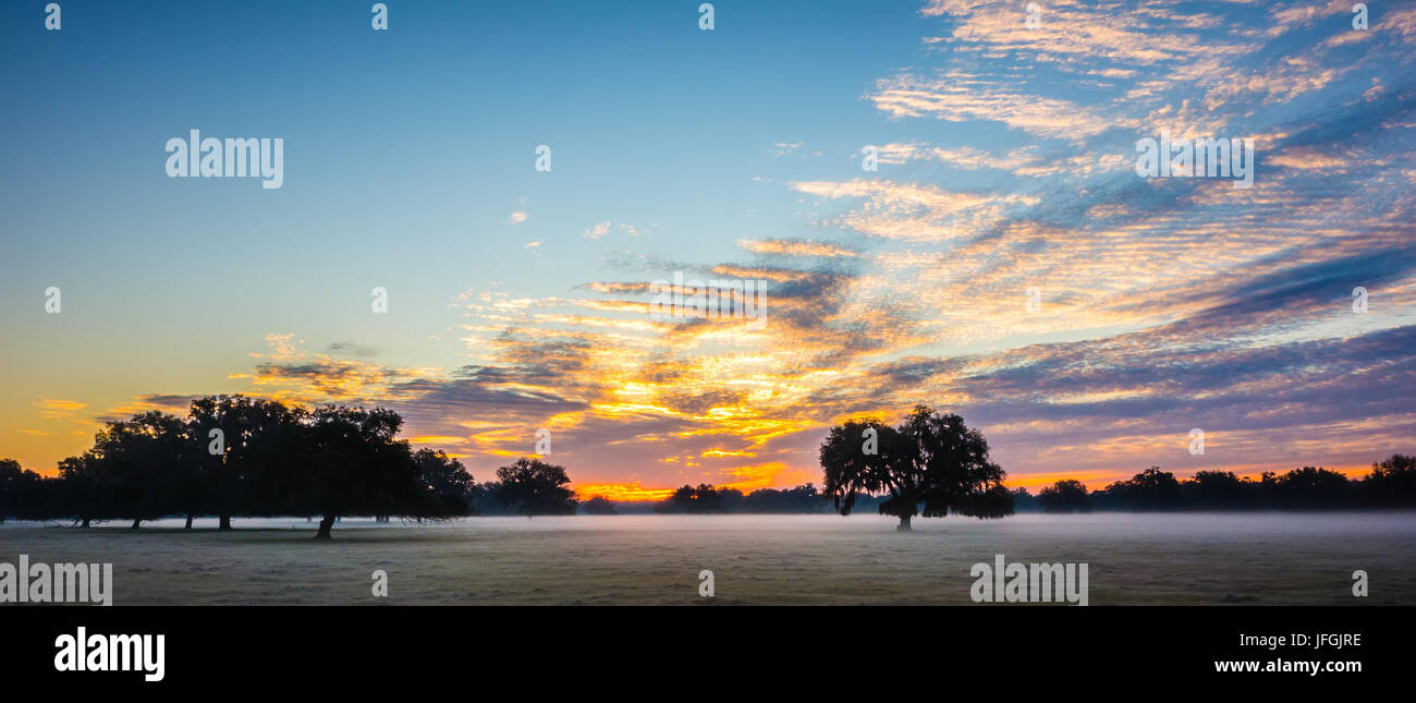 Abstract farm hi-res stock photography and images - Alamy