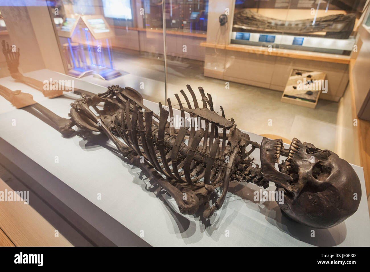 Weird skeletons hi-res stock photography and images - Alamy