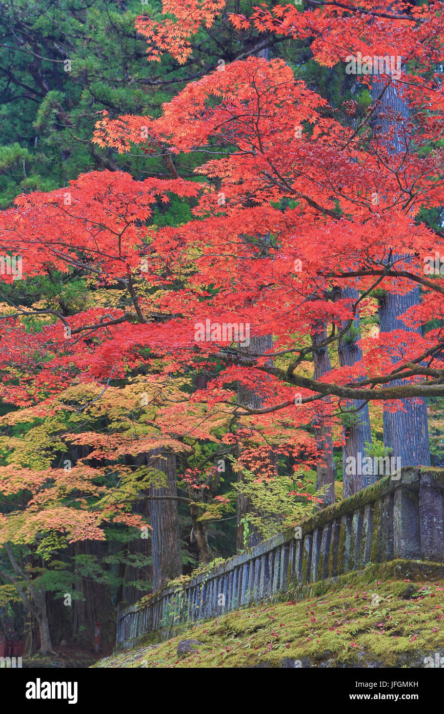 Nikko city hi-res stock photography and images - Alamy