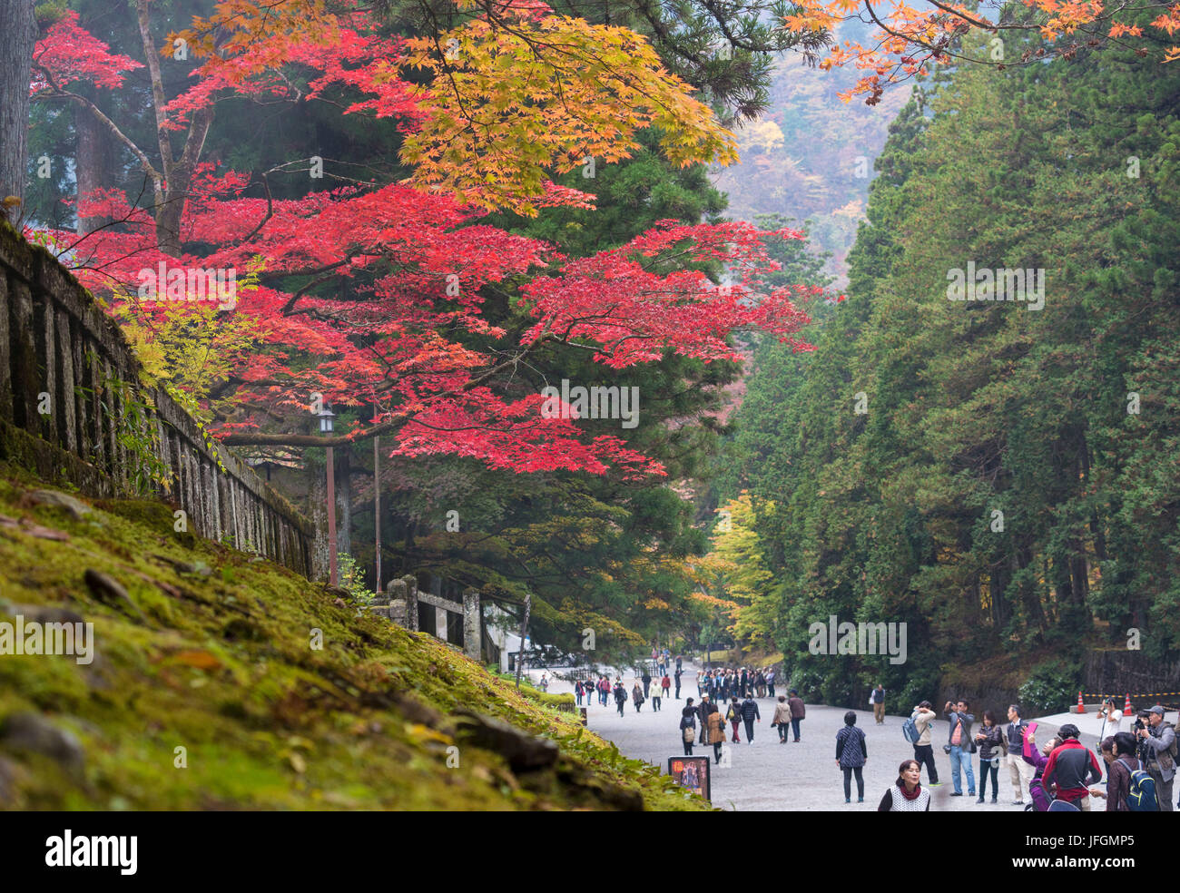 Japan, Nikko City, Toshogu Shrine, autumn colors Stock Photo - Alamy