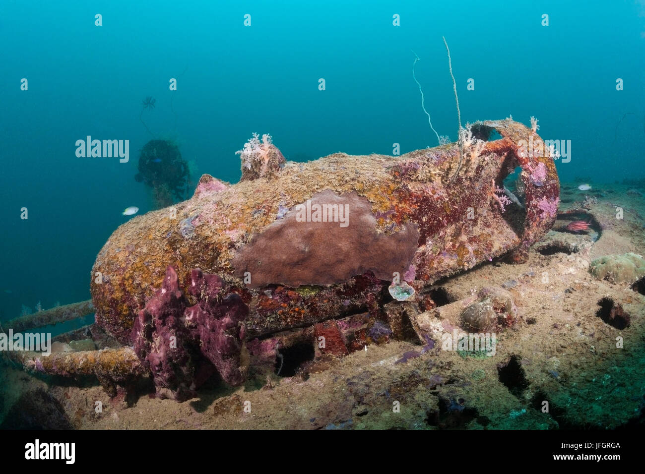 Dauntless dive bomber hi-res stock photography and images - Alamy