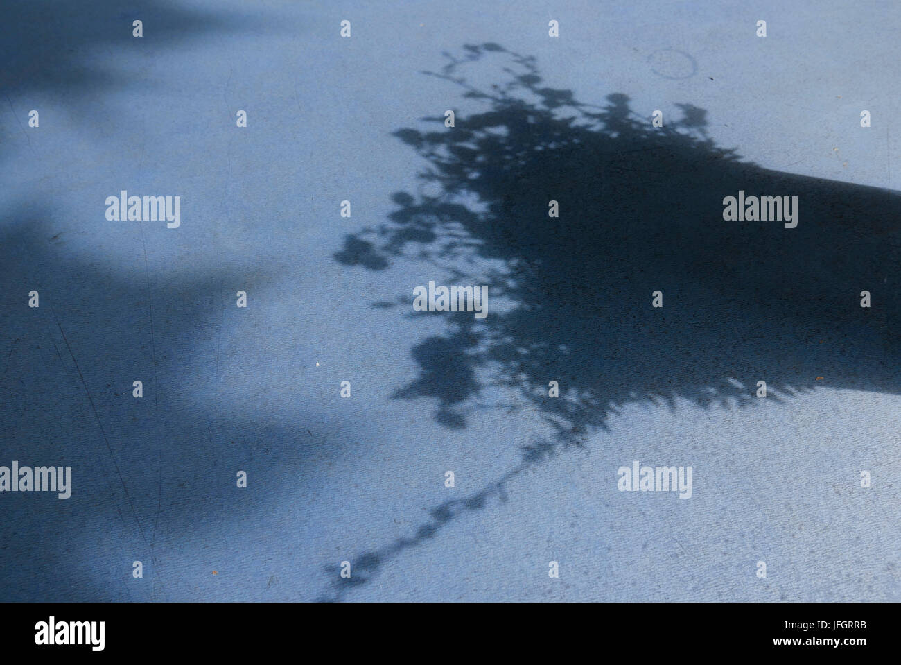 Shadow game with flowerpot and maple leaf on tabletop, Upper Bavaria ...