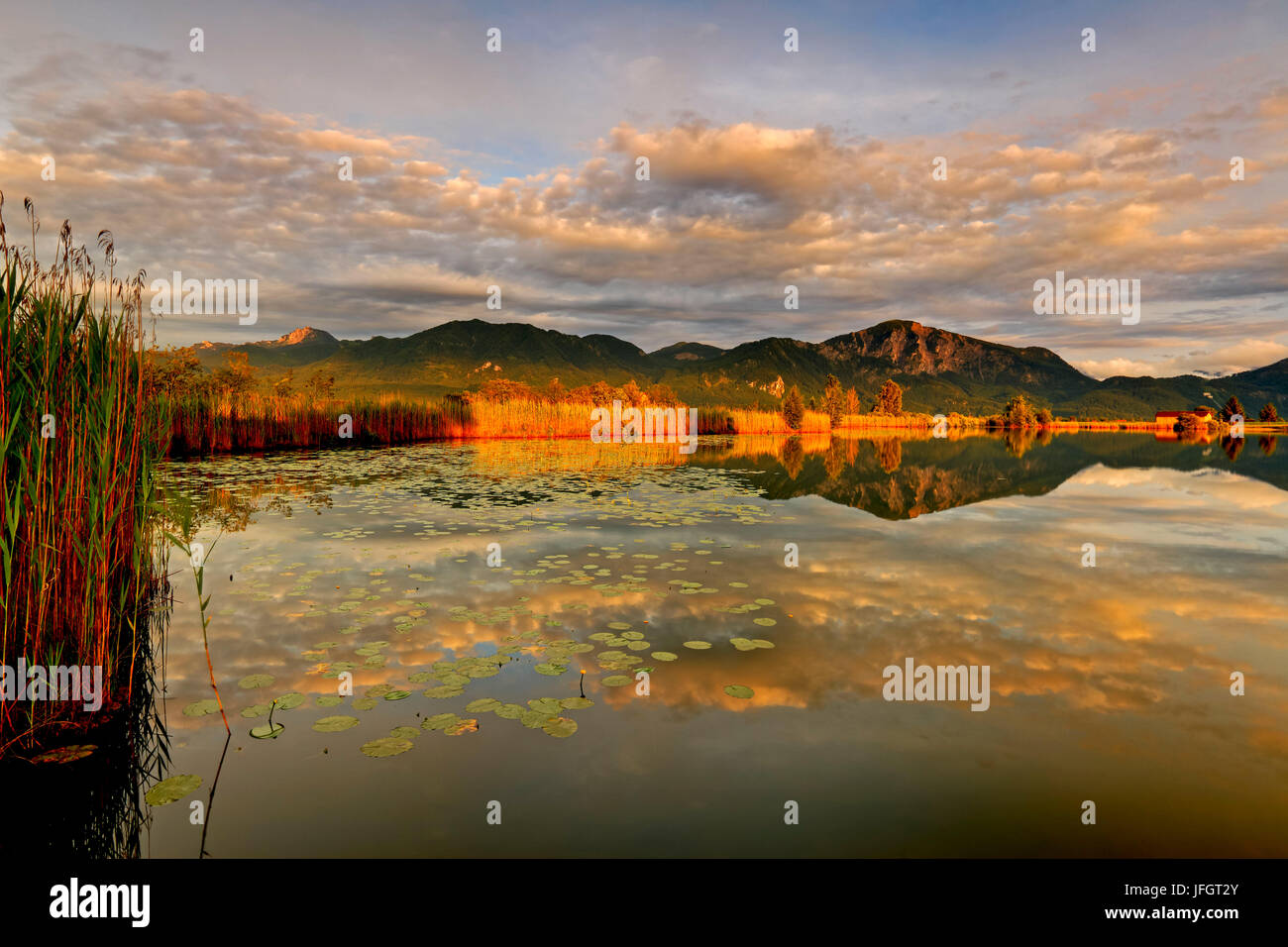 Kochler moore on the benediktenwand hi-res stock photography and images ...