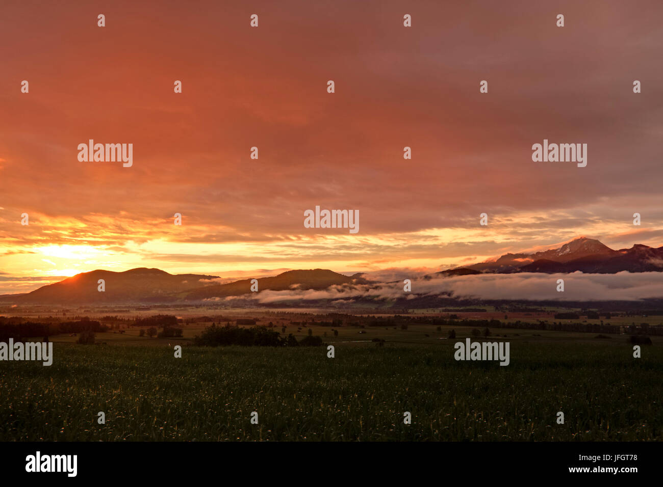 Kochler moore on the benediktenwand hi-res stock photography and images ...