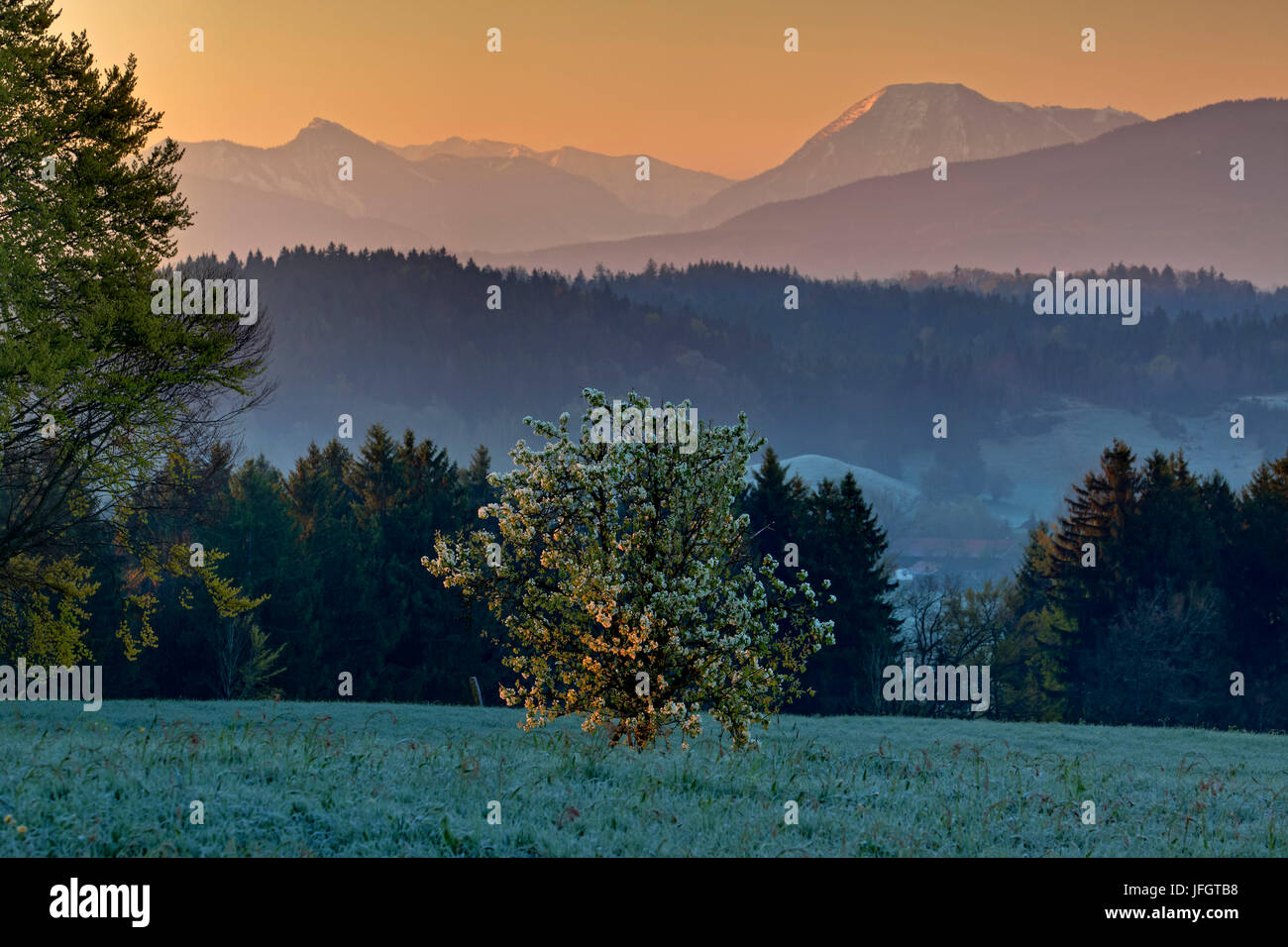 View at the hirschberg hi-res stock photography and images - Alamy