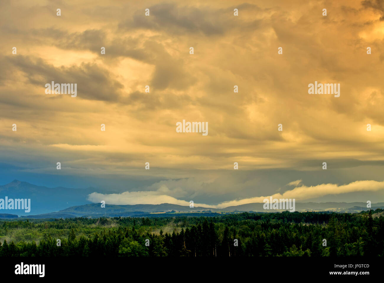 Germany, Bavaria, Upper Bavaria, Tölzer country, Faistenberg, Sahara ...