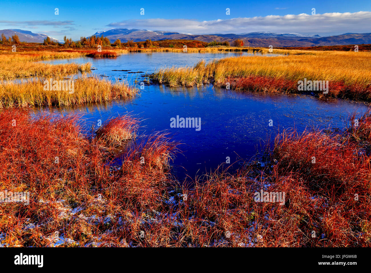 Europe, Sweden, Lapland, province of Norrbotten, Abisko national park ...