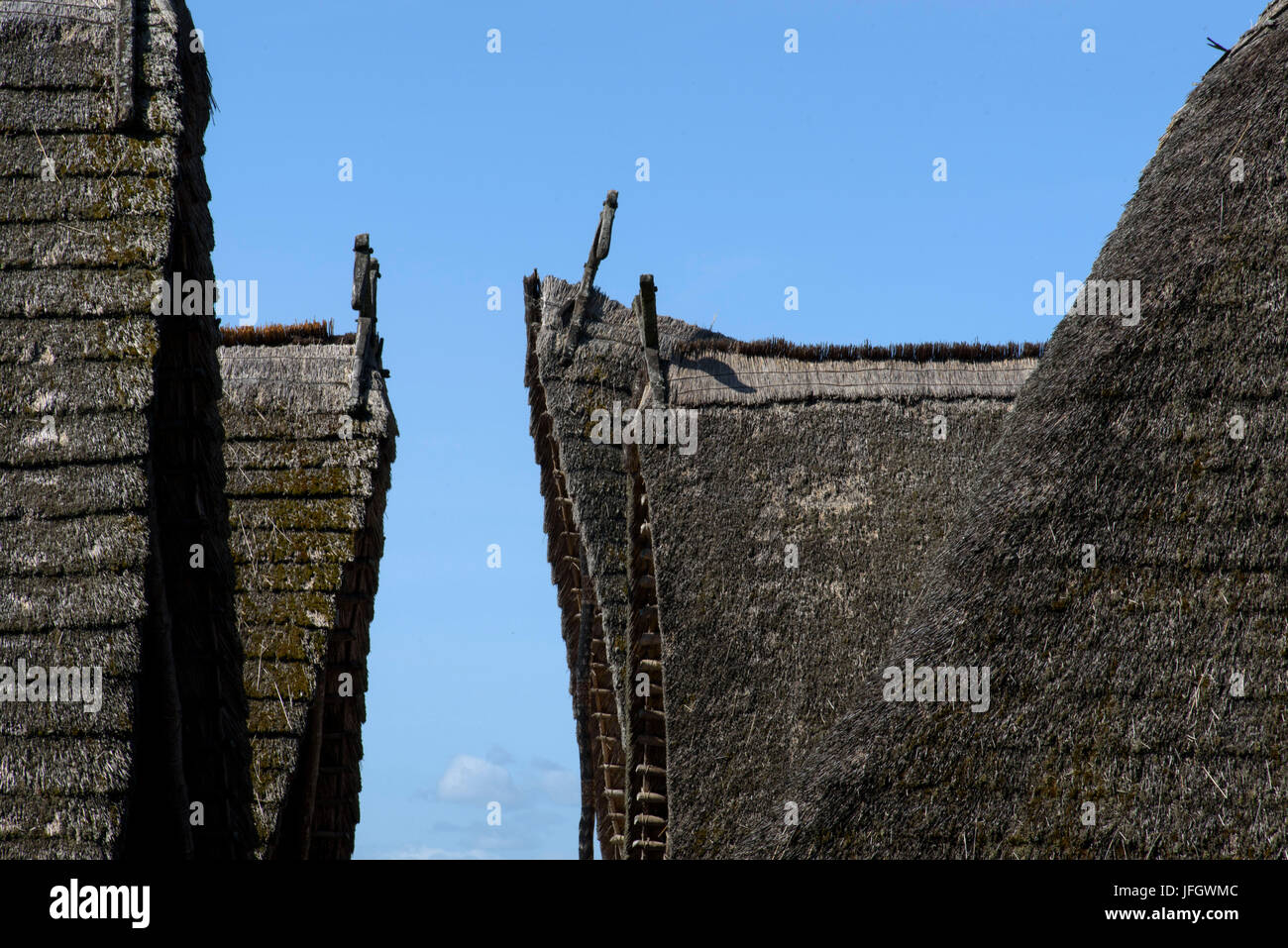 Building on stilts roofs in the building on stilts museum of ...