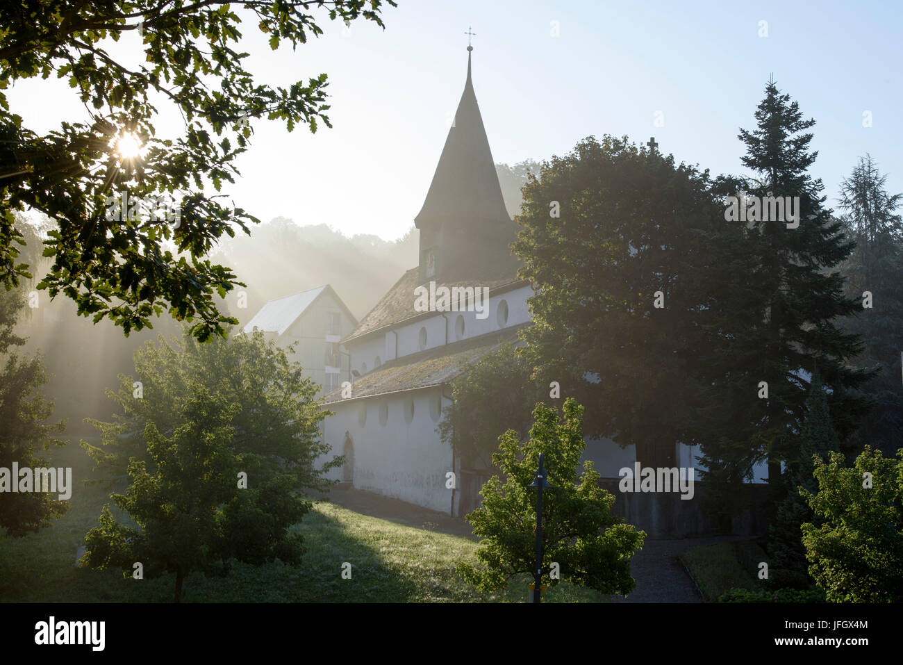 Minster Schienen St. Genesius, Höri, Lake of Constance, underlake ...