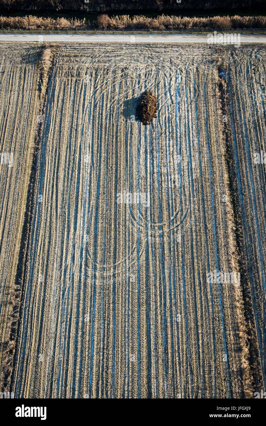 Nature aesthetics structure hi-res stock photography and images - Alamy